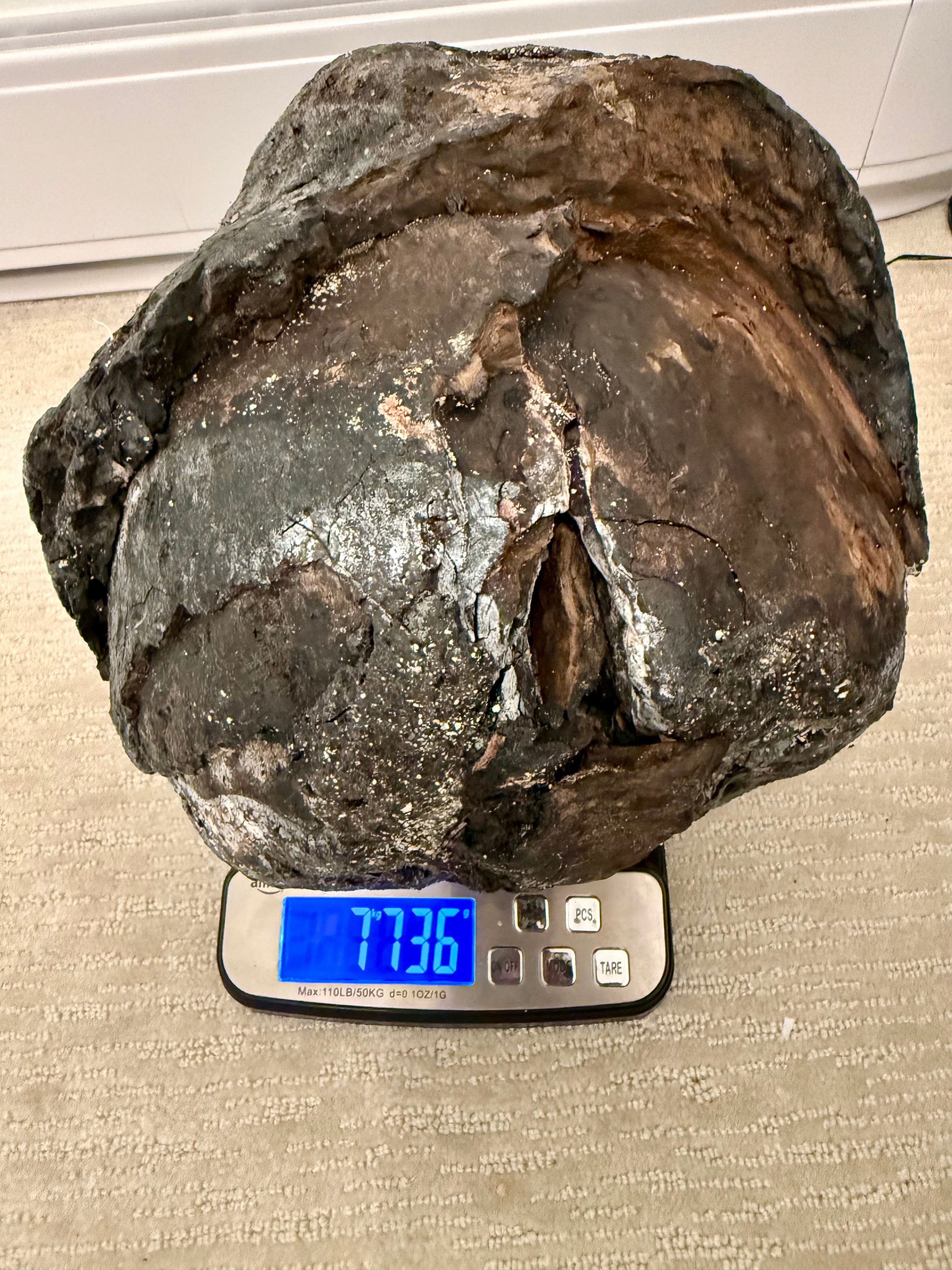 Any Coast, Any Country, if you found Ambergris, we are ready to buy ...