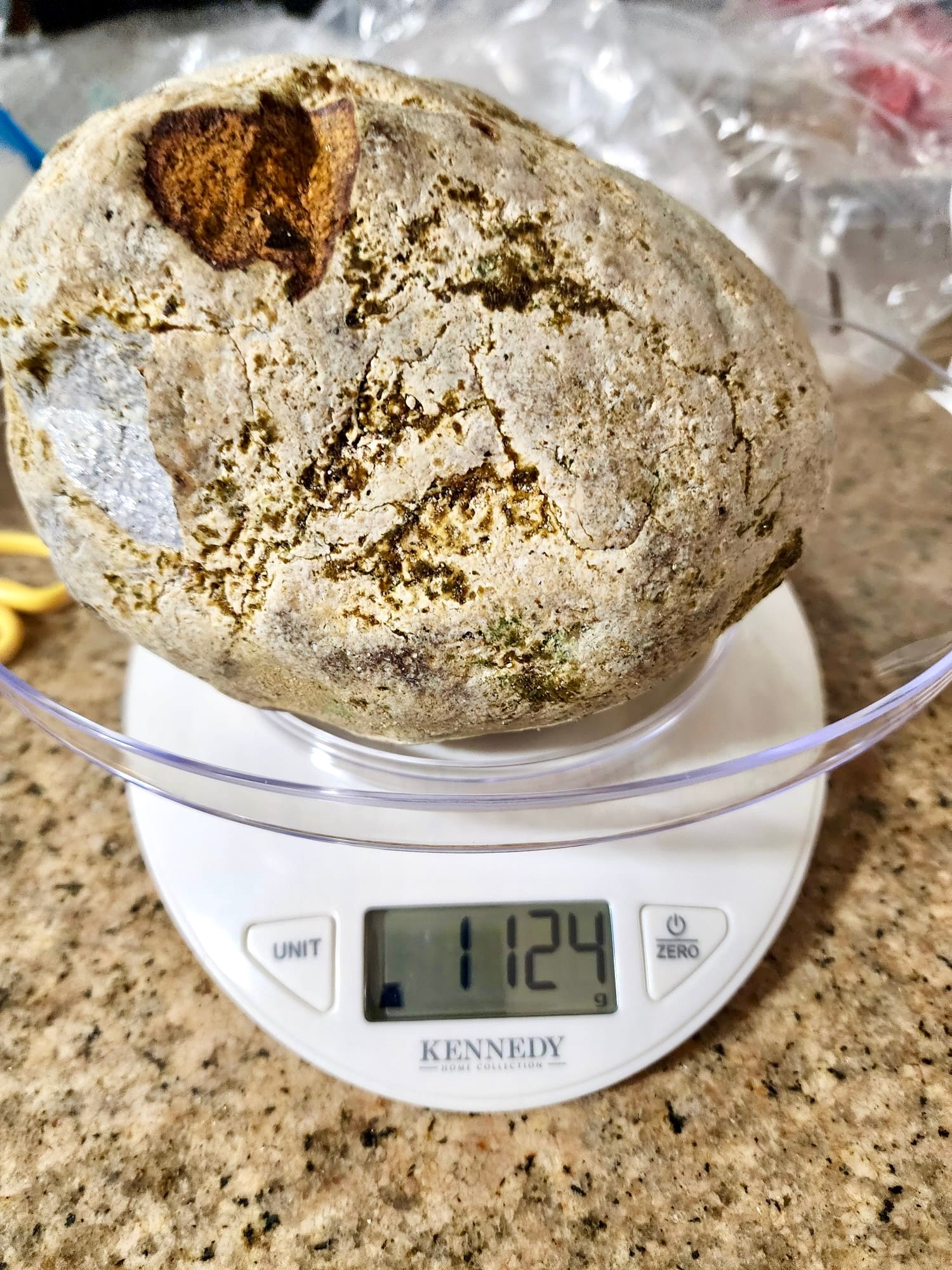 Any Coast, Any Country, if you found Ambergris, we are ready to buy ...